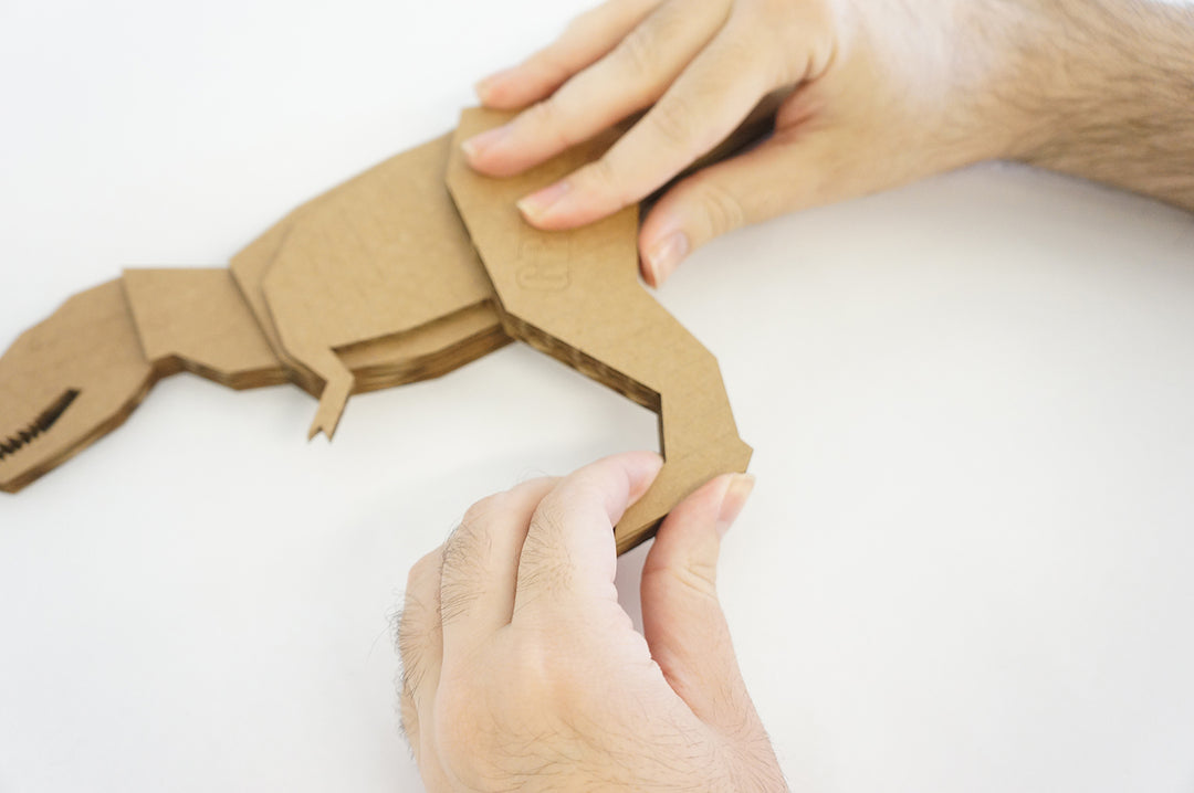 T Rex Kit – The Grid Kit