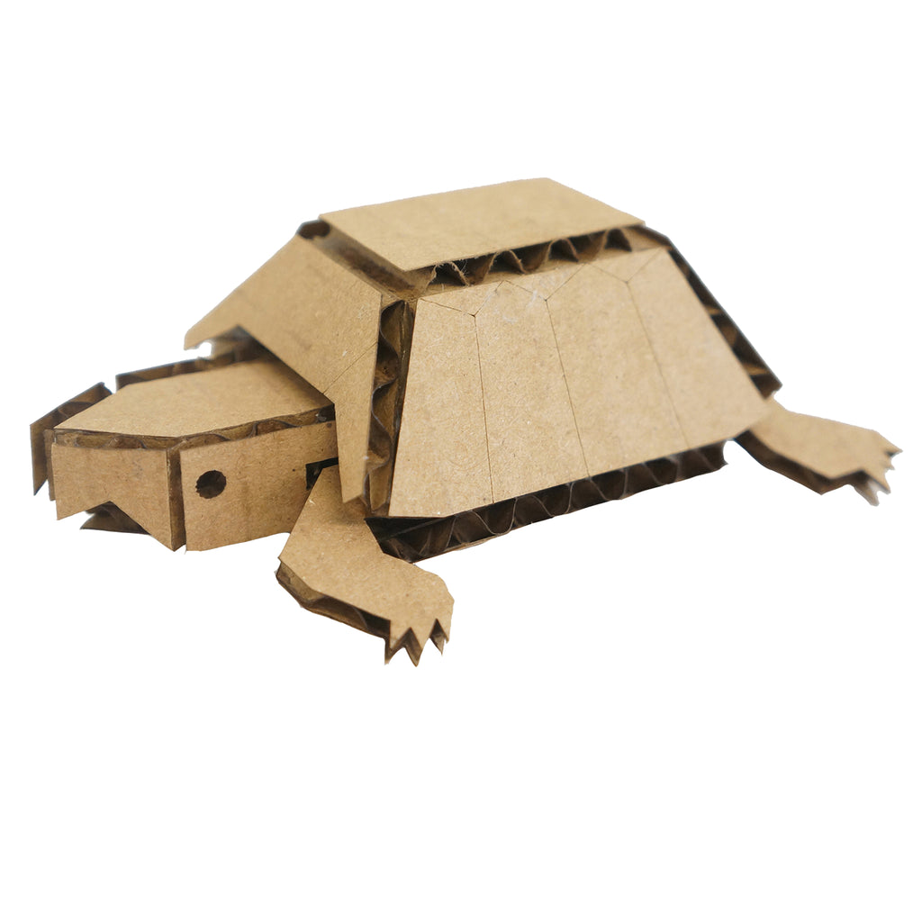3D Puzzle Box Turtle Cardboard Craft Construction Model Kit | Fun ...